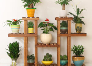 This modern flower shelf board is perfect for garden lovers