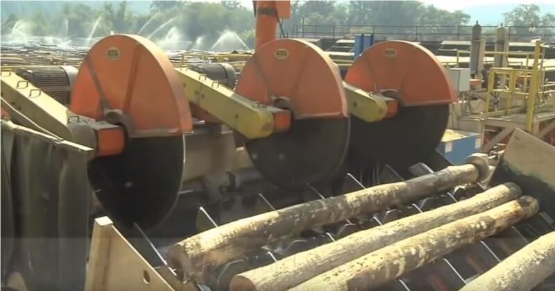 What is plywood? How to make plywood in 13 steps – Welcome to Esshelf